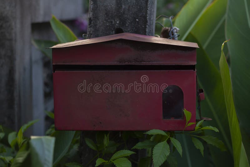 Old Red Mailbox on Electric Pole. Stock Photo - Image of message, mail ...