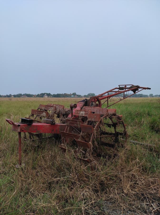 Old Red Tractor in Rice Field Stock Photo - Image of field, rice: 290704894