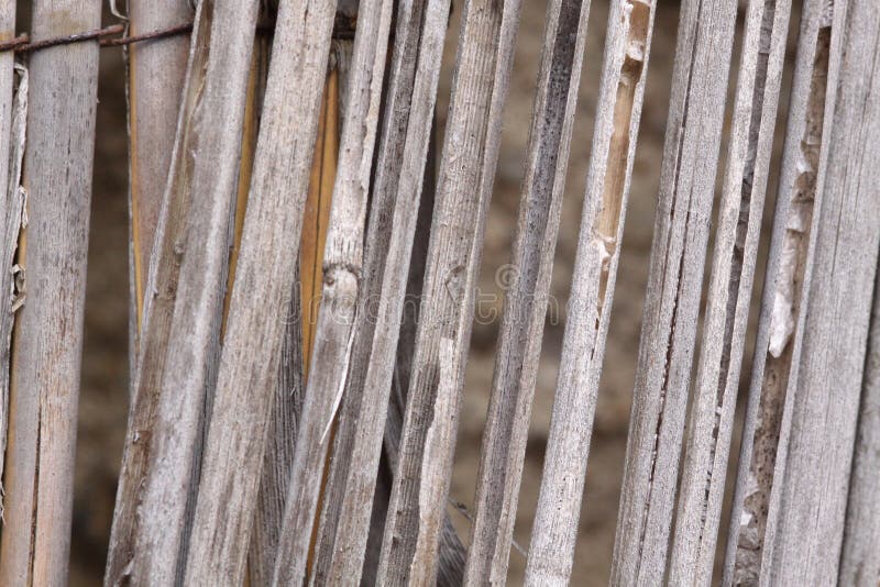Old reed fence stock photo. Image of rural, harvest, rope - 73000370