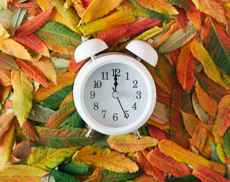An Old Retro Clock on an Autumn Fallen Leaf. Stock Photo - Image of ...