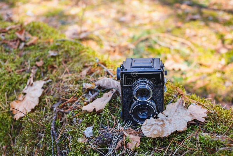 Old Retro Film Camera in a Sunny Spring Forest Stock Image - Image of ...