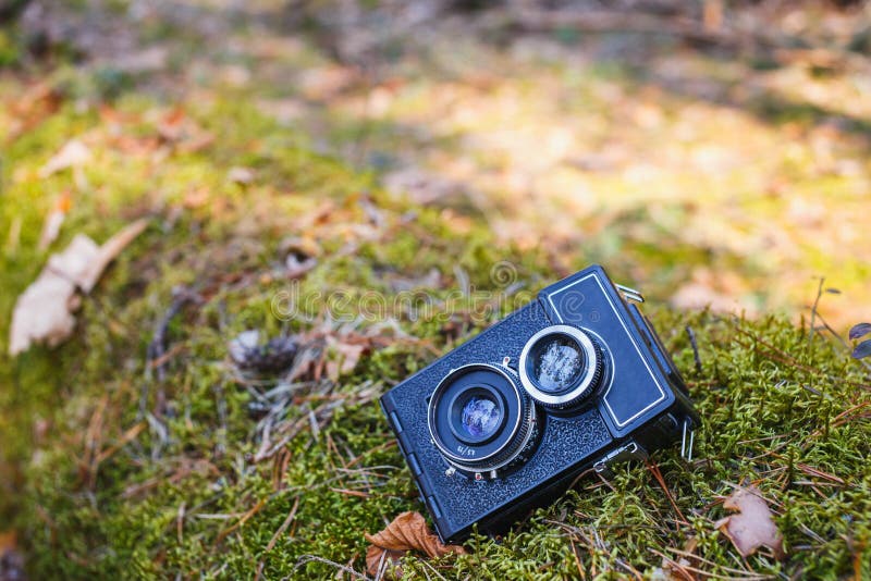 Old Retro Film Camera in a Sunny Spring Forest Stock Image - Image of ...