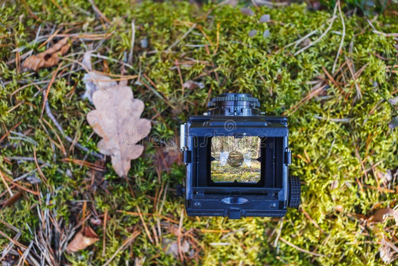 Old Retro Film Camera in a Sunny Spring Forest Stock Image - Image of ...