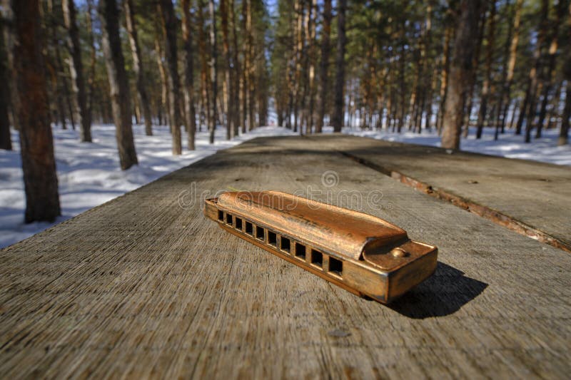 Old Retro Harmonica on Wooden Table in Winter Forest. Stock Image ...
