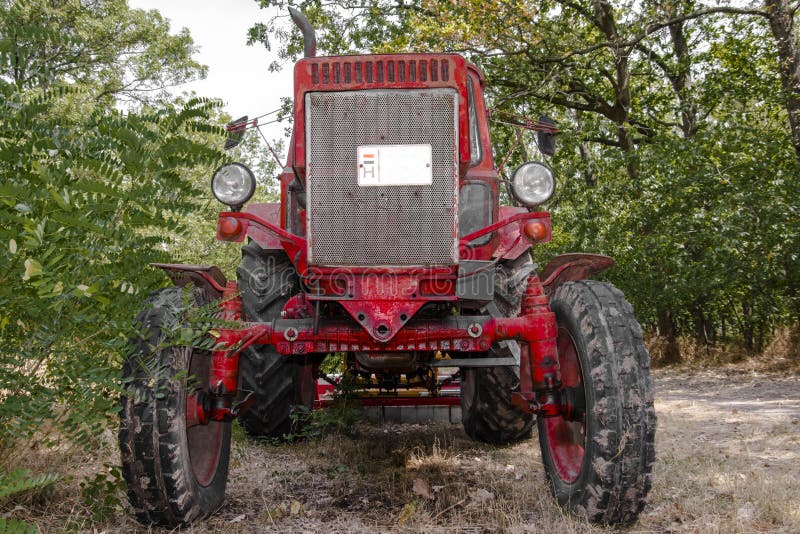 Old, Retro Red Tractor in a Forest Stock Image - Image of tractor ...