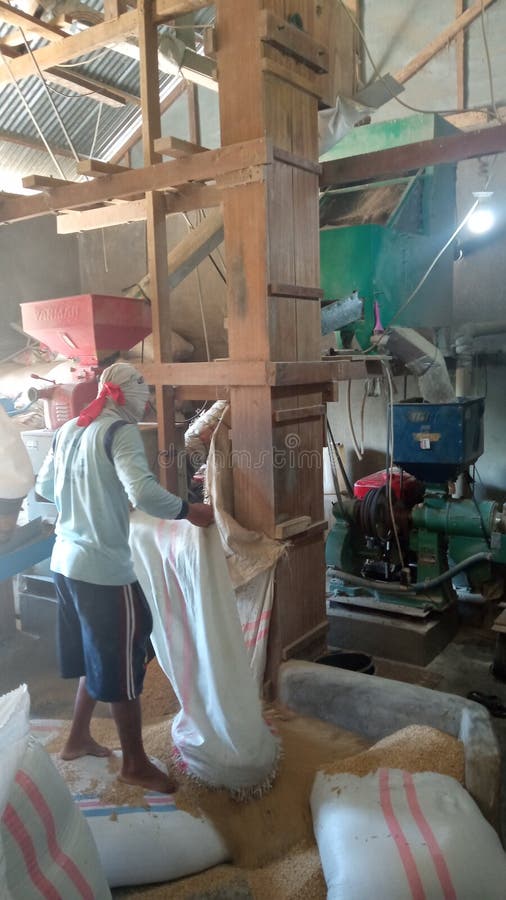 Old Rice Mild and the Worker Editorial Image - Image of room, still ...