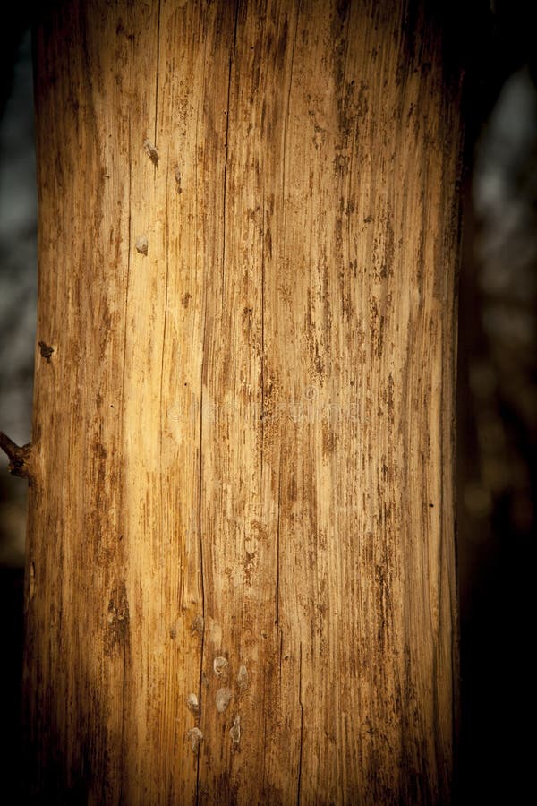 Old Rich Wood Texture and Background for Design Stock Image - Image of ...