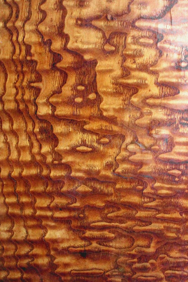 Old Rich Wood Texture stock image. Image of exhibit, indoor - 62519849