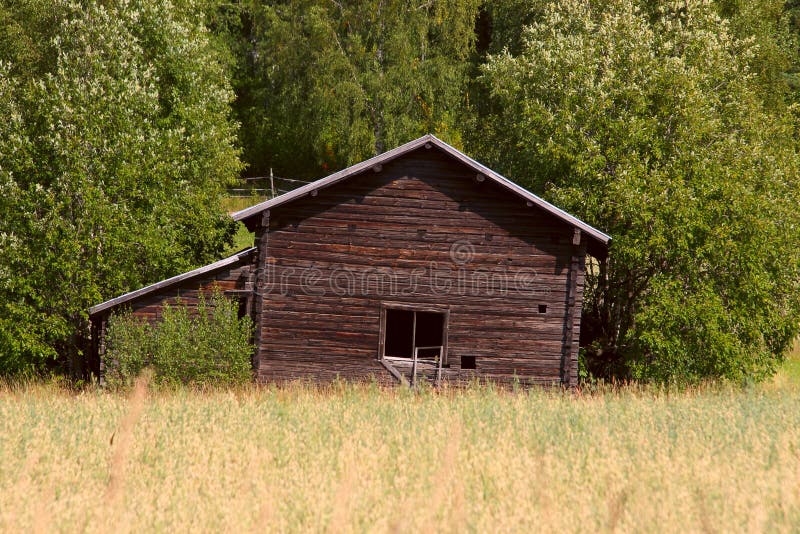 Old Rickety Barn in the Meadow Stock Photo - Image of architecture ...