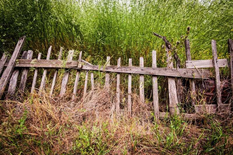 Old rickety fence stock photo. Image of background, summer - 96827646