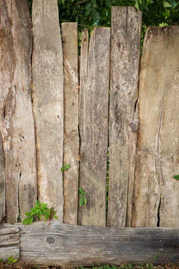 The old rickety fence stock image. Image of rickety - 179721003