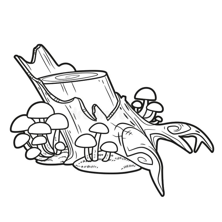 Moss Linear Stock Illustrations – 418 Moss Linear Stock Illustrations ...