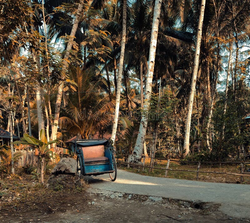 Old rickshaw stock image. Image of winter, nature, village - 288817867