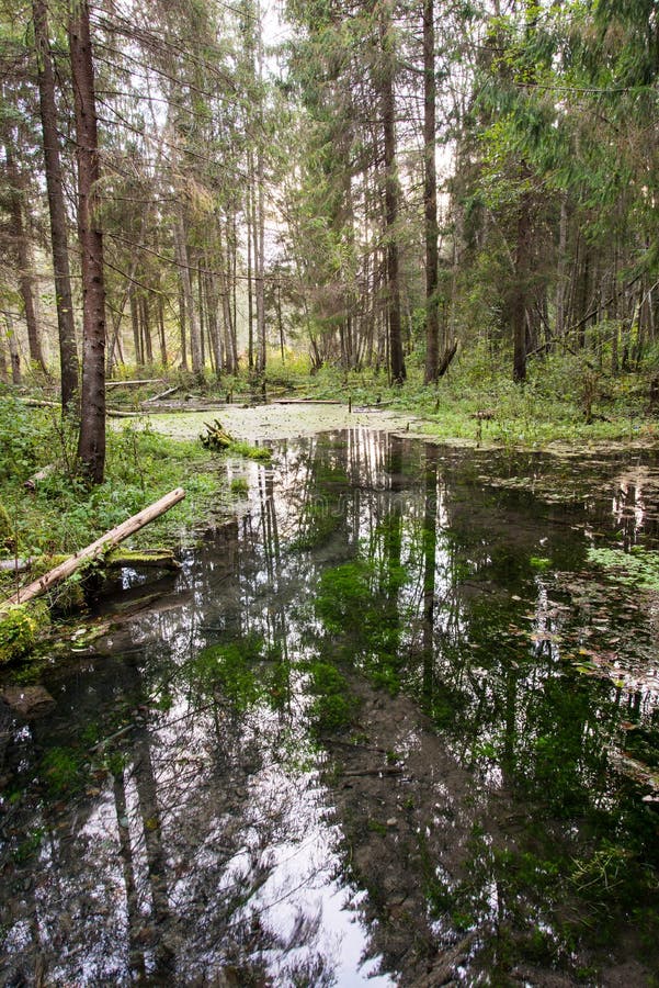 211 Sloping Bank Photos - Free & Royalty-Free Stock Photos from Dreamstime