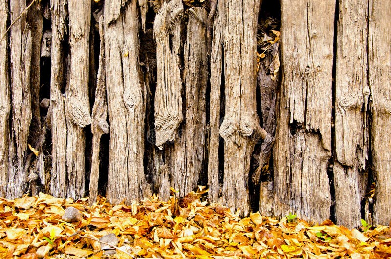 Old river warf fragment stock photo. Image of board, october - 21617174