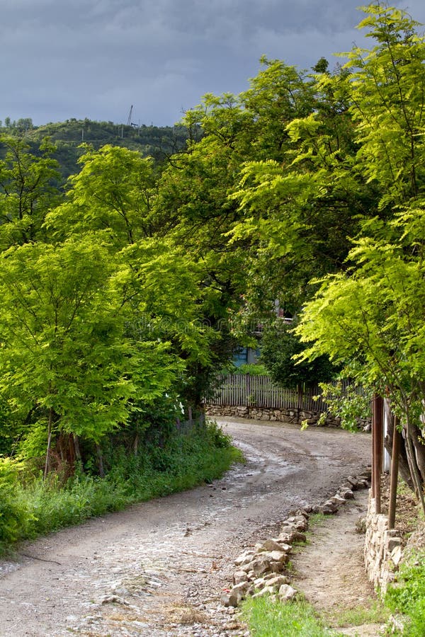 Old road stock photo. Image of park, outdoor, paths, alley - 19897784