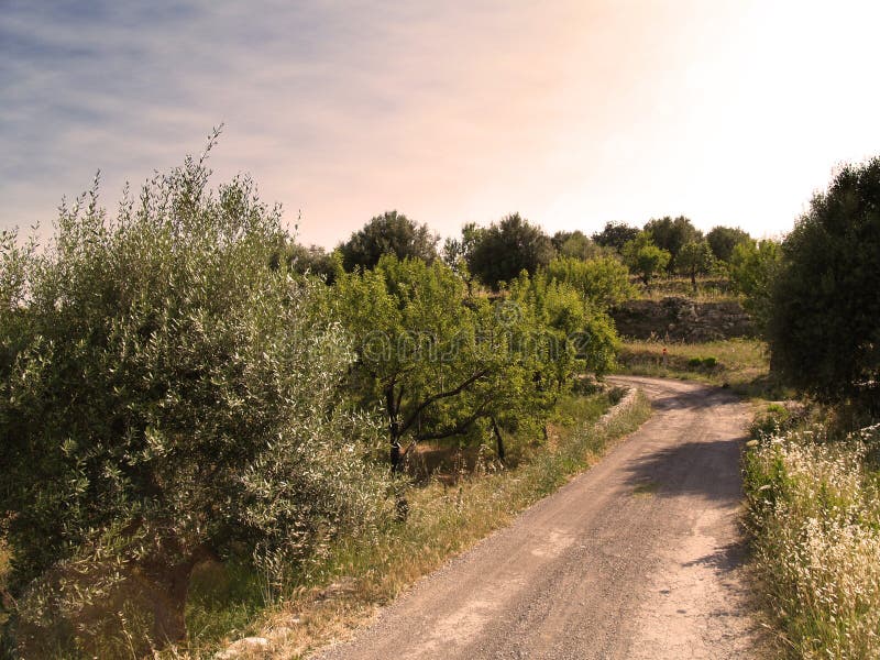 The old road stock image. Image of skyes, sunrise, cloud - 2471743