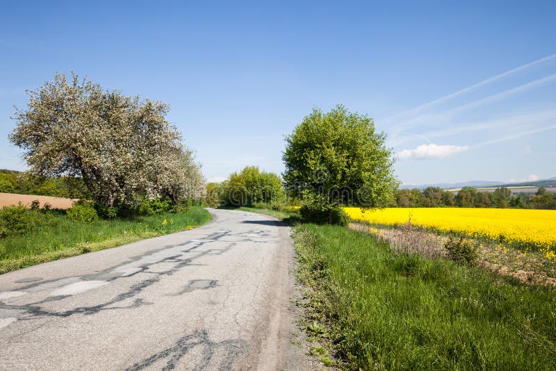 Old road stock photo. Image of road, farm, yellow, spring - 76070294