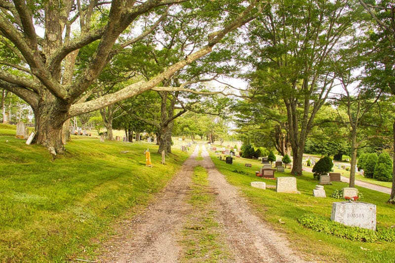Old Road through a County Cemetery Editorial Image - Image of garden ...