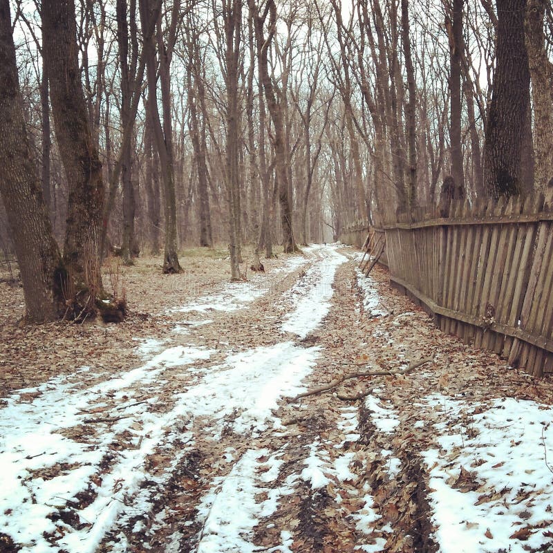 Old road stock image. Image of mobile, road, fence, forest - 85017943