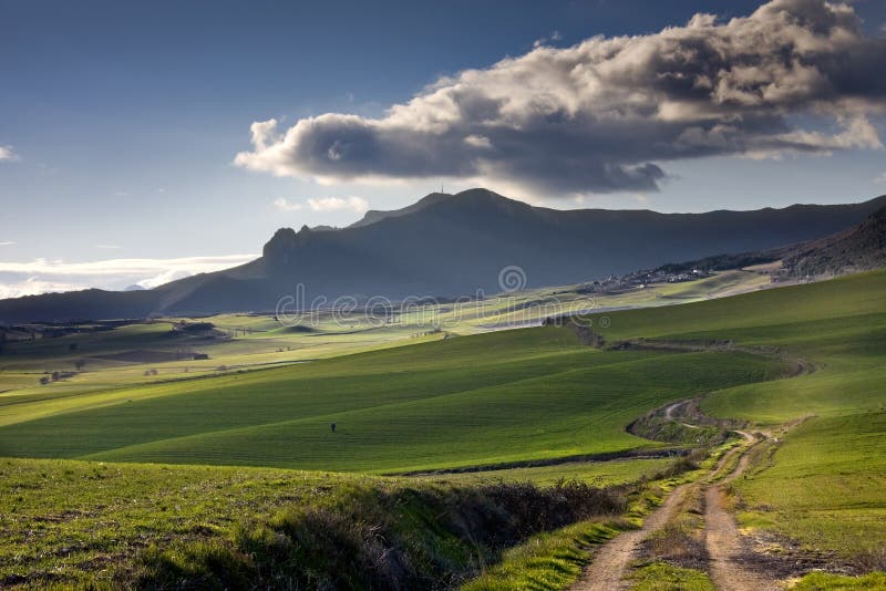 Old road in meadow stock photo. Image of glade, nature - 20696444