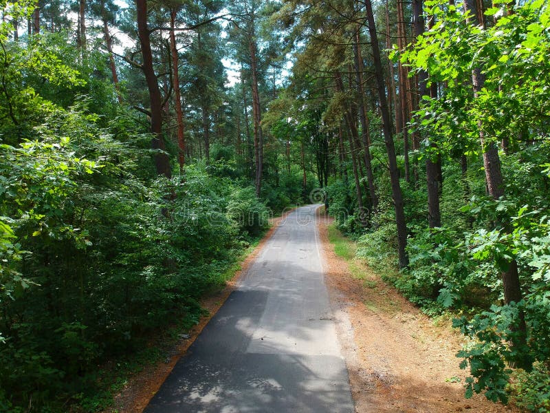 Old Road in the Middle of Dark and Dense Forest, Aerial View Stock ...