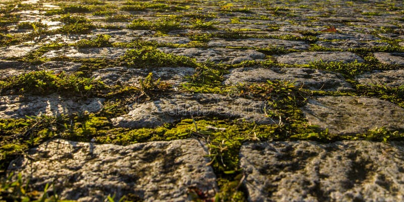 Old Road In Rustic Cobblestones Stock Image - Image of stone, pavement ...