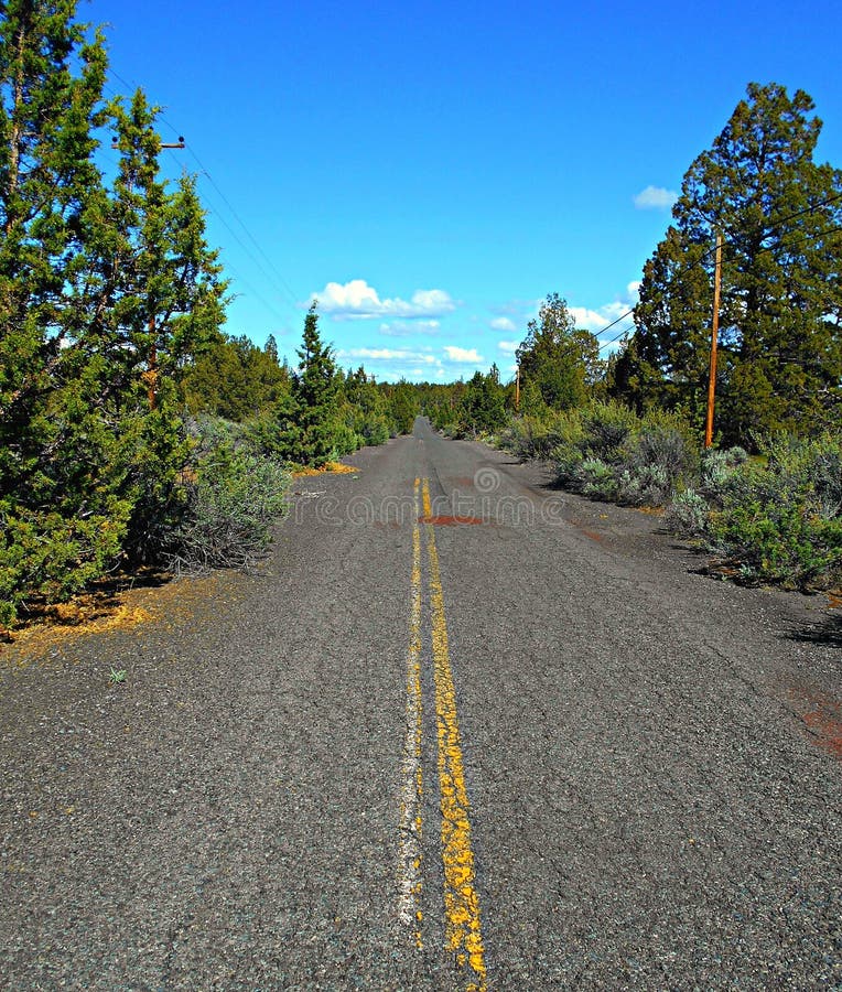 The Old Road stock image. Image of poles, green, white - 96180449