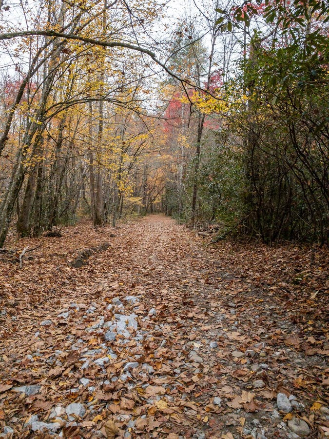 Old Road Turned To Trail in Fall Stock Photo - Image of mountains ...