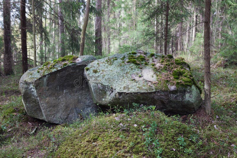 A rock split in half stock image. Image of moss, rock - 45302035