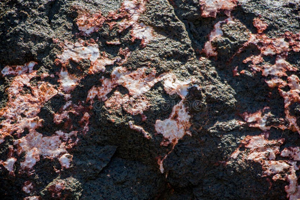 Old rock texture stock image. Image of white, mineral - 121396839