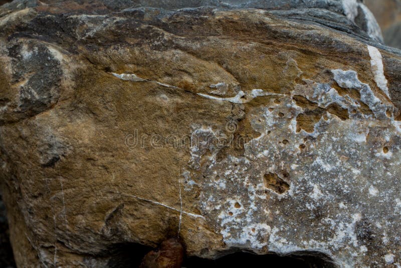 Old Rock Texture Wild Background Stock Image - Image of moss, leaf ...