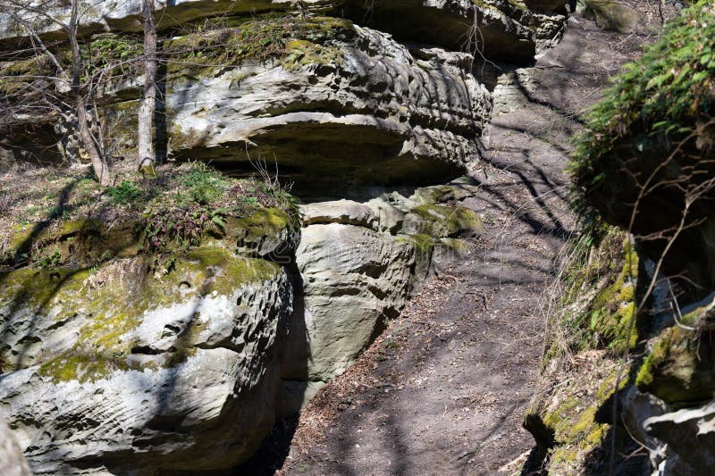 Old Rocks in the Forest Covered with Moss Stock Image - Image of fresh ...