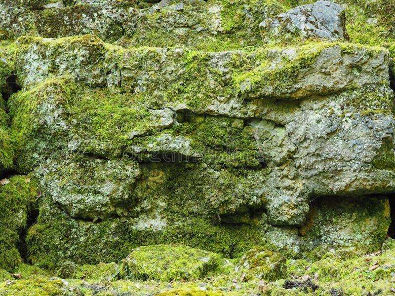 Old rocks with moss stock image. Image of background - 76503503