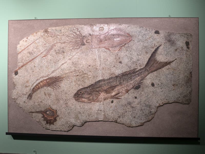 Old Roman Mosaic Detail Fish Editorial Photography - Image of ...