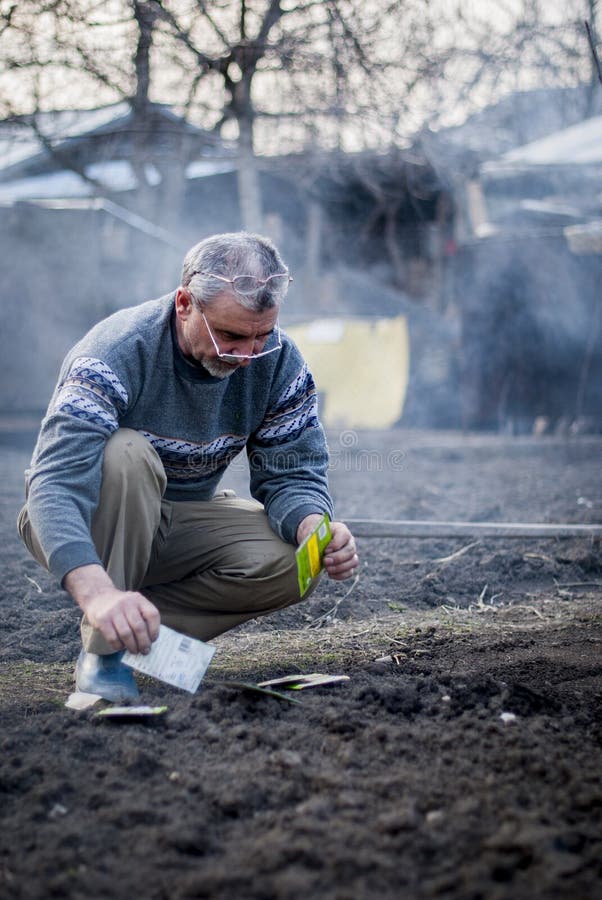 Old Romanian Man Working His Land in a Traditional Way with Empty Hands ...