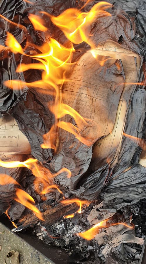 Documents in fire - 2 stock image. Image of burn, check - 263771