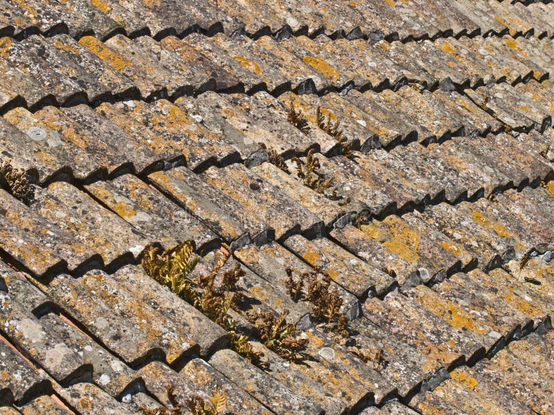 Old roof stock photo. Image of residential, architecture - 5598444