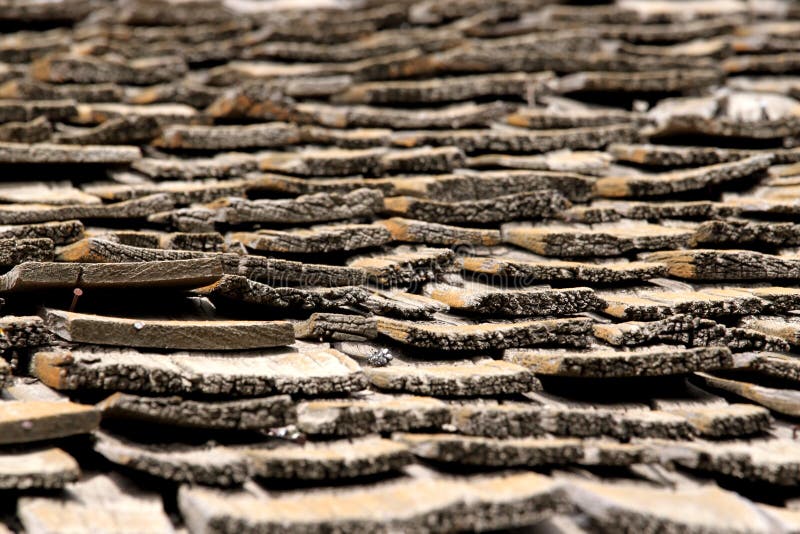 Old Roof, Old brown dry rotted roof