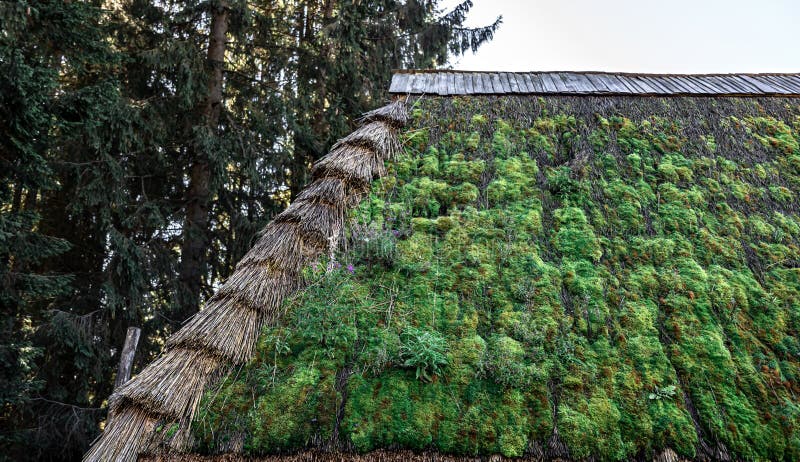 The Old Roof of the House in the Forest, Covered with Moss. Stock Image ...