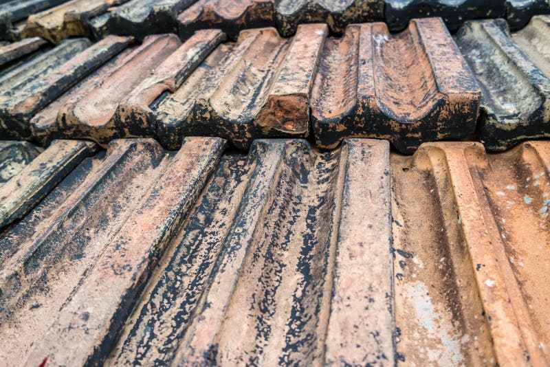 Old Roof Tiles on a House stock photo. Image of exterior - 262424060
