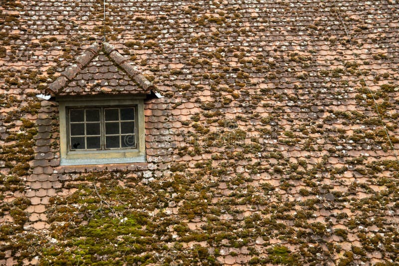Old Roof with Window and Moss Stock Photo - Image of carpenter ...
