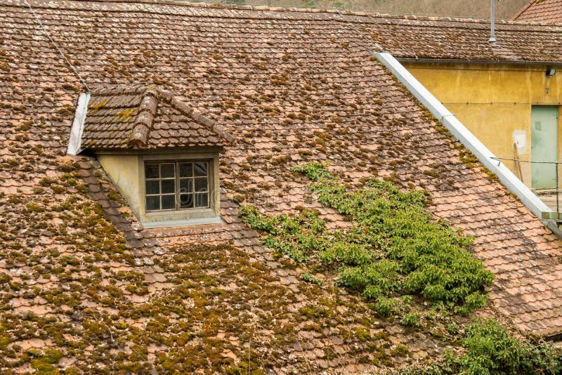 Old Roof with Window and Moss Stock Photo - Image of weathered, roof ...
