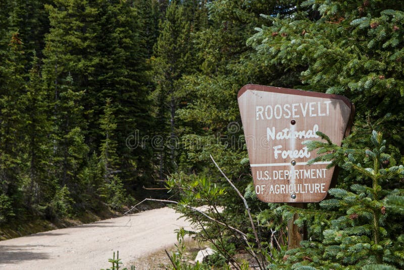 Old Roosevelt National Forest Sign Stock Photos - Free & Royalty-Free ...