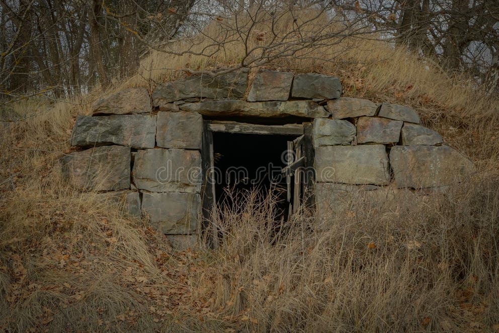 Old root cellar stock photo. Image of jordkacurren, tree - 81697900