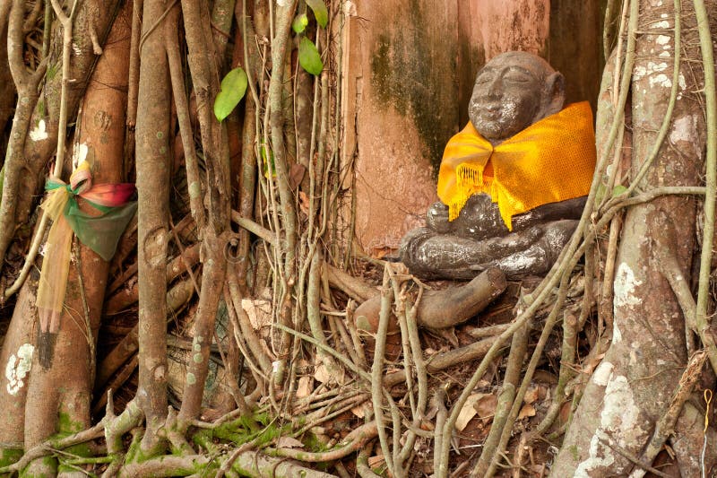Old Root Tree Around Ancient Thai Church. Stock Image - Image of ...