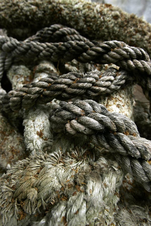 Old rope with mold stock image. Image of moss, coil, mouldy - 8865097