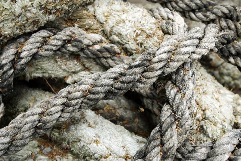 Taut Rope stock image. Image of strong, taut, fray, rope - 99945