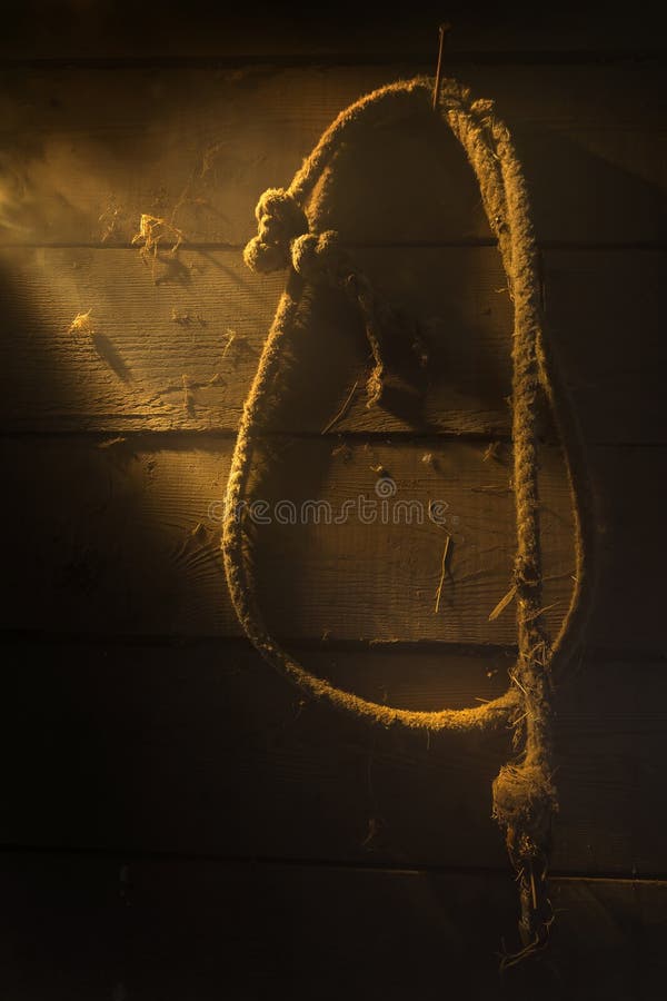 Old rope in barn stock photo. Image of hang, cobweb, sunlight - 80634284