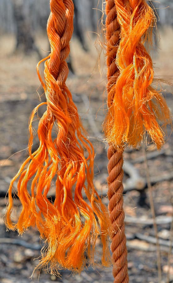 Old rope 2 stock image. Image of textured, macro, cable - 30462541